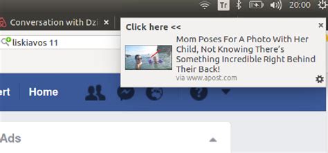 get rid of firefox popups stashokware