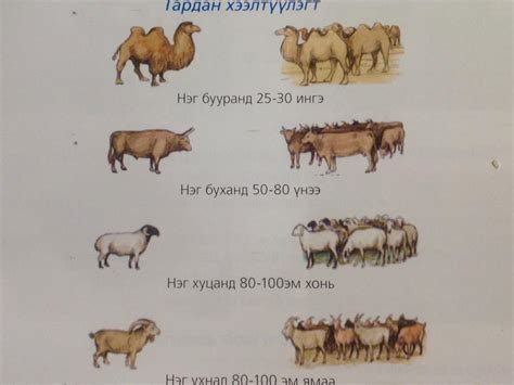 Монголын Мал Монголын Мал Зүйч Үржүүлэгчдийн Холбоо