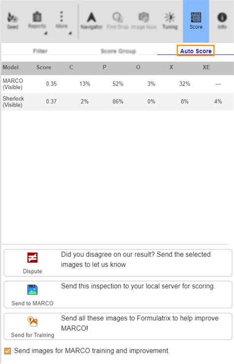 scoring images using auto scoring models — rock maker 4 5 documentation