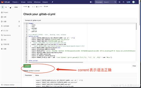 Gitlab集成gitlab Runner详细版 及注意事项汇总【最佳实践】 Csdn博客