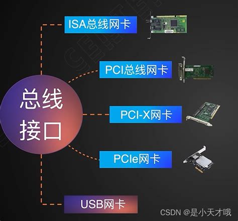 服务器硬件学习 服务器网卡 网卡知识网线csdn csdn博客