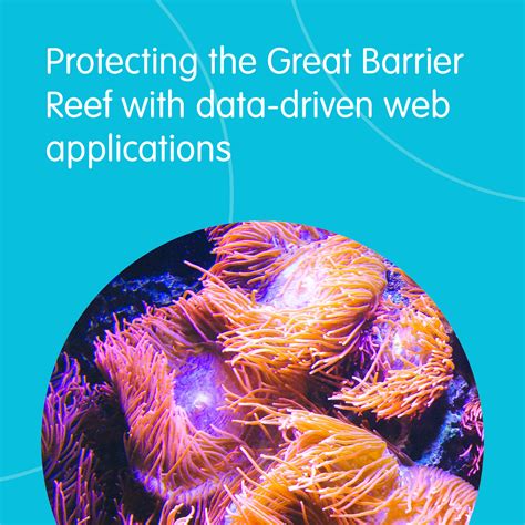 protecting the great barrier reef with data driven web applications truii