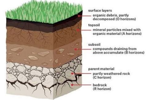 Soil Profile Class Science Soil
