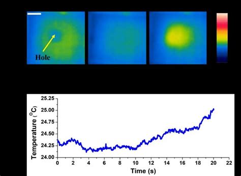 Thermal Characterization Of Pdms Layer A Thermal Images Top View Download Scientific Diagram
