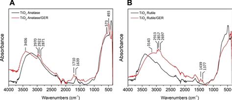 Baseline Corrected Ftir Spectra Of The Tio2anatase And Download