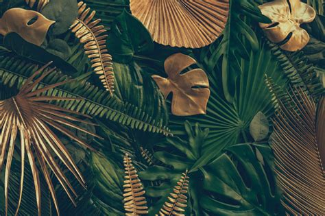 창조적 인 자연 배경 금색과 녹색 열대 몬스터와 야자수 잎 최소한의 여름 추상 정글 또는 숲 패턴 0명에 대한 스톡 사진 및 기타 이미지 Istock