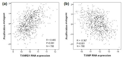 Correlation Of Txnrd1 And Txnip With The Proliferation Metagene A Download Scientific
