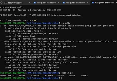 wsl 通过桥接实现 局域网访问 docker 远程连接执行testcontainer new start 博客园