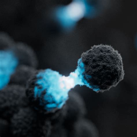 Nanopore Based Random Genomic Sampling For Intraoperative Diagnosis Of Brain Tumors And Beyond