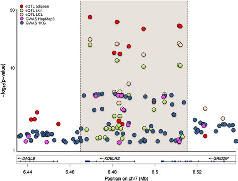 Regional Plot Of Expression Quantitative Trait Loci Eqtl And