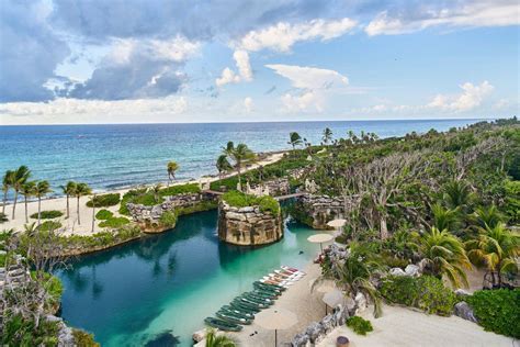 Oyster Xcaret Arte At Ryan Mcgovern Blog