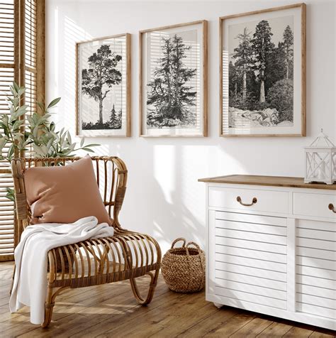 Vintage Tree Sketch Set Of 3 Forest Print Antique Tree Etsy