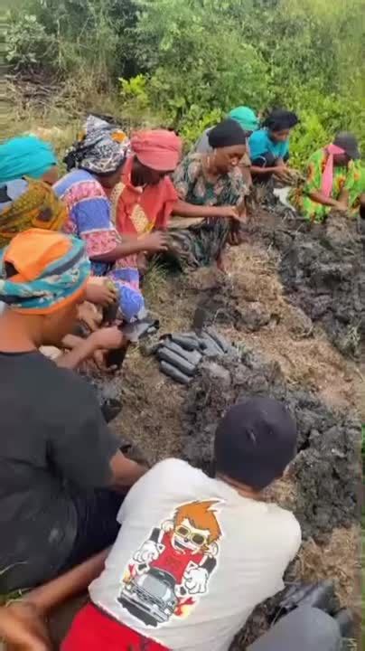 Soa Tanzania On Linkedin Soalliance Generationrestoration Mangrove