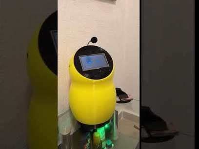 DIY Twinky Cómo hacer un robot asistent