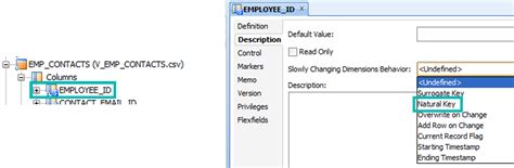 Odi 11g Repository Metadata Tips And Tricks Clearpeaks Blog