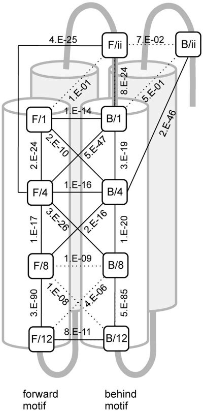 Statistical Analysis For The Intra And Inter Motif Connections The