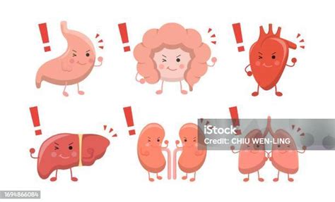 신장과 간을 가진 심장과 폐를 가진 위와 내장 장난스럽고 귀여운 인간 장기 마스코트 세트 신장 투석에 대한 스톡 벡터 아트 및 기타 이미지 신장 투석 간암 건강관리와