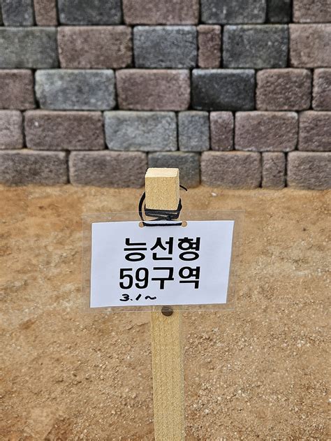 용미리 공원 제1묘지