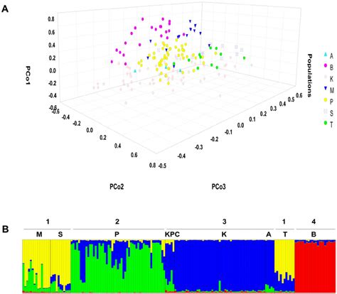 results of individual clustering analyses a three dimensional plot download scientific