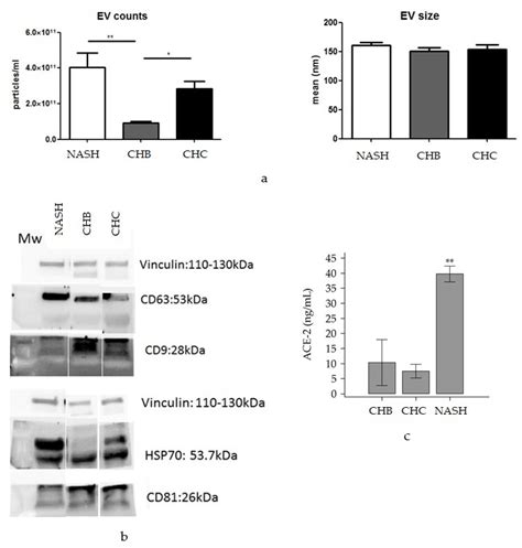 Viruses Free Full Text Expression Of Sars Cov 2 Entry Factors In Patients With Chronic Hepatitis