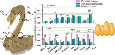 Sex Specific Bioaccumulation Maternal Transfer And Tissue Distribution Of Legacy And Emerging