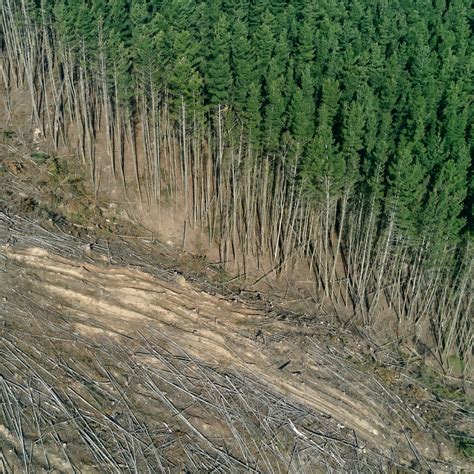 Ratified Inflation Reduction Act Largest Federal Investment To Combat