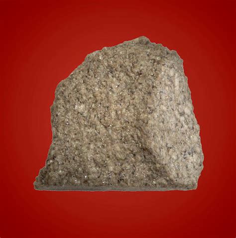 Bonhams Zagami Slice Of A Famous Martian Meteorite