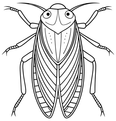 Leafhopper Page Stock Illustrations 3 Leafhopper Page Stock Illustrations Vectors And Clipart