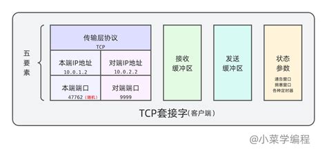 网络编程：开发tcp客户端 小菜学网络