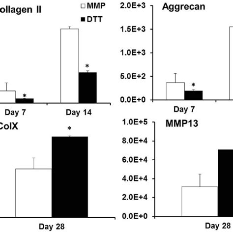 The Gene Expression Of Type Ii Collagen Aggrecan Type X Collagen And Download Scientific