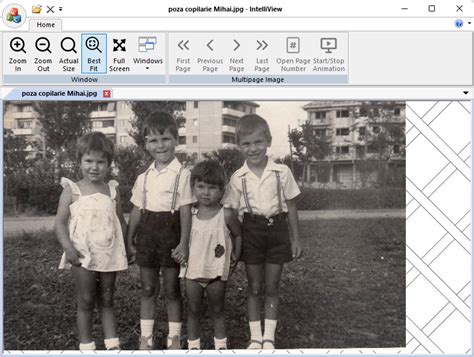 Intelliview V1 03 Stefan Mihai Mogas Space