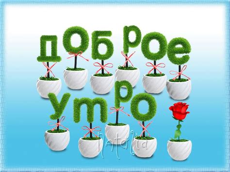 Пин от пользователя Алена Мисько на доске Доброе утро и вечер в 2024 г Милые открытки