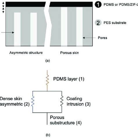 Illustration Of A Composite Membrane And B Analogous Electric Circuit Download Scientific