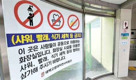 강원도 중심 강원도 세상