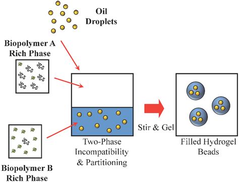 Processes Free Full Text Extending Emulsion Functionality Post Homogenization Modification