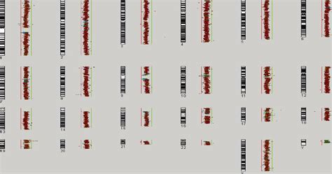 Array Cgh Profile In Our Patient Five Aberrations Were Detected
