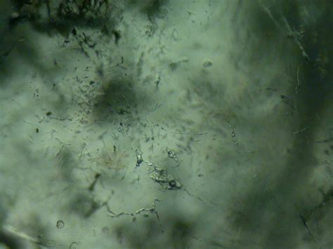Top 5 Most Recognizable Gemstone Inclusions A Tempting Guide For