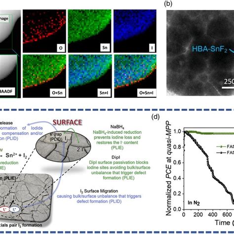 A Scanning Transmission Electron Microscopy Stemhigh‐angle Annular