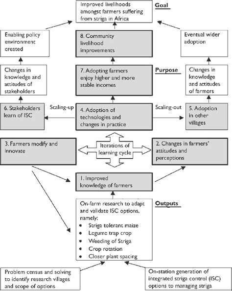 Logic Model For A Complicated And Complex Intervention Striga