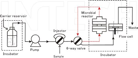 Figure 3 From Flow Injection Biosensor System For 2 4 Dichlorophenoxyacetate Based On A