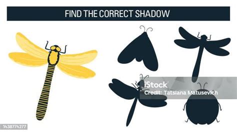 곤충 잠자리 아이들을위한 교육용 게임 인 올바른 그림자를 찾으십시오 벡터 일러스트 레이 션 만화 스타일 0명에 대한 스톡 벡터