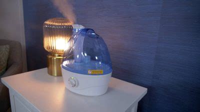 How Does A Humidifier Work All Your Questions Answered