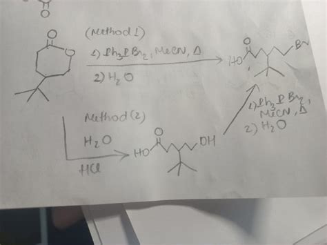 Solved Please Help Answer This Question With Explanation Chegg