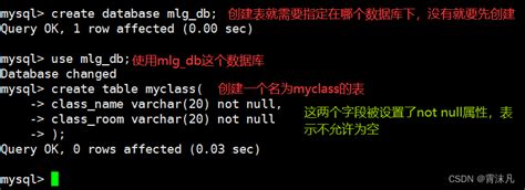 Mysql —— 表的约束