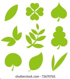 Set Od Various Tree Leaves Vector Stock Vector Royalty Free Shutterstock