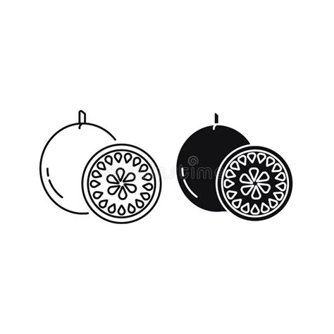 Passion Fruit Illustration Icon Logo Stock Illustrations 419 Passion