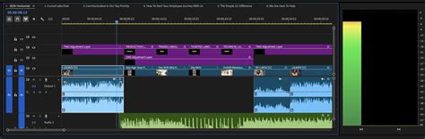 solved audio problem pp 2025 project panel vs editing pan adobe