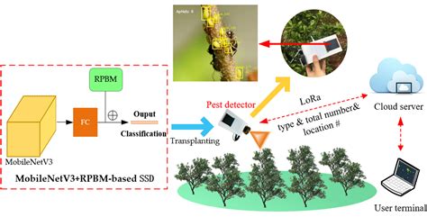 Transfer Learning Based Lightweight Ssd Model For Detection Of Pests In Citrus