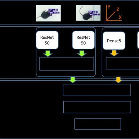 Dual Siamese Network For Tracking Input Information 1 Images As