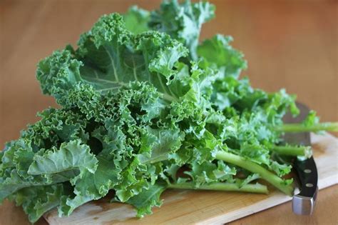 Health Benefits Of Kale Vegetable During Pregnancy Vegetafruit